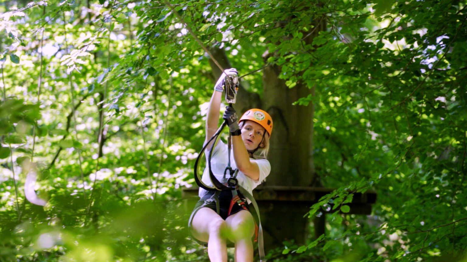 Forest lokationer - GoMonkey